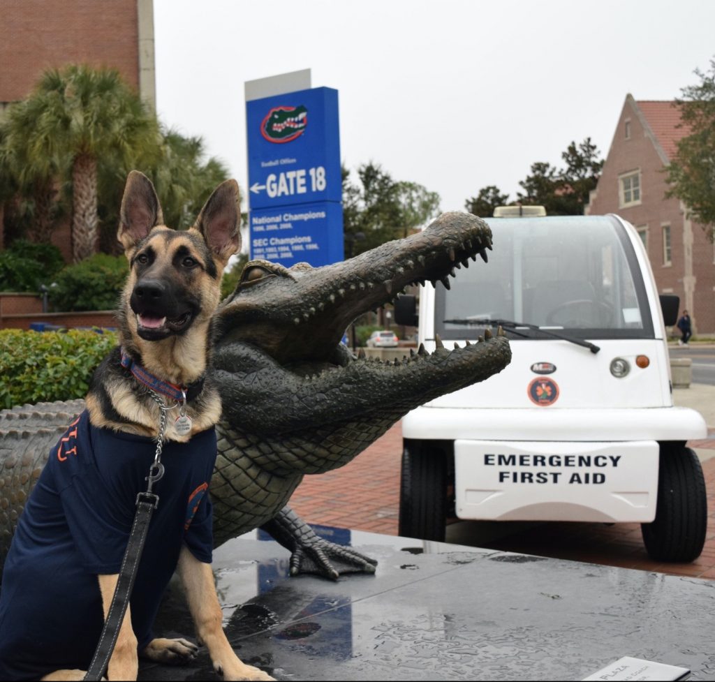Gator Emergency Medical Response Unit